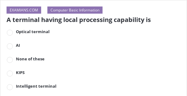 A terminal having local processing capability is | EXAMIANS