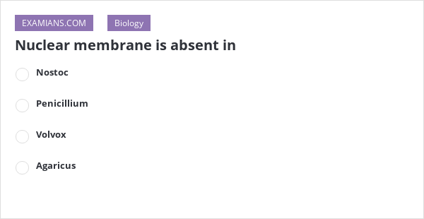 Nuclear membrane is absent in | EXAMIANS