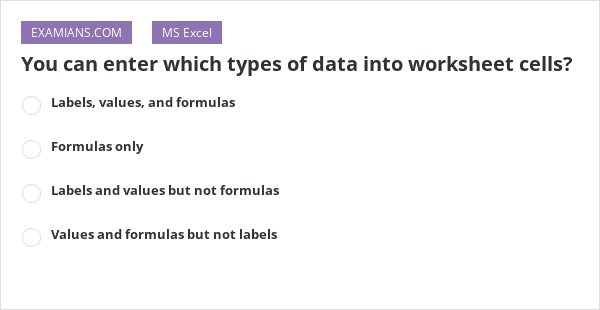 You can enter which types of data into worksheet cells? | EXAMIANS