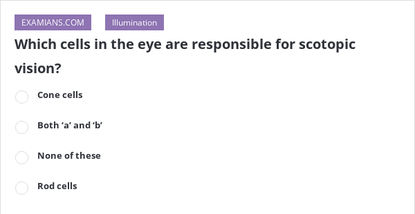 Which cells in the eye are responsible for scotopic vision? | EXAMIANS