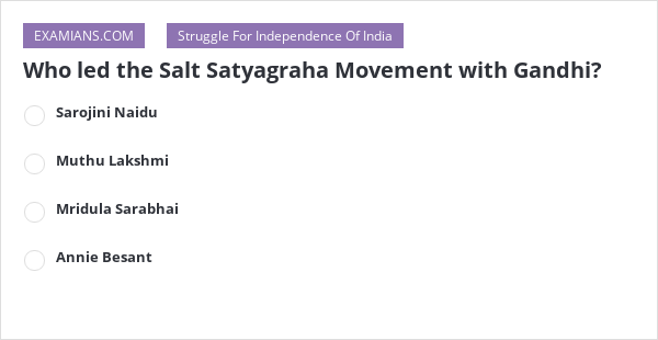 Who led the Salt Satyagraha Movement with Gandhi? | EXAMIANS