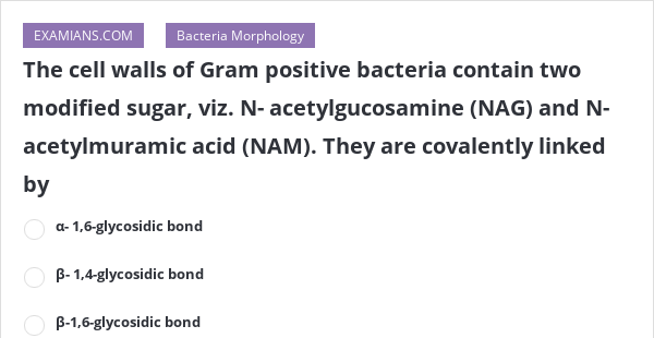 The cell walls of Gram positive bacteria contain two modified sugar ...