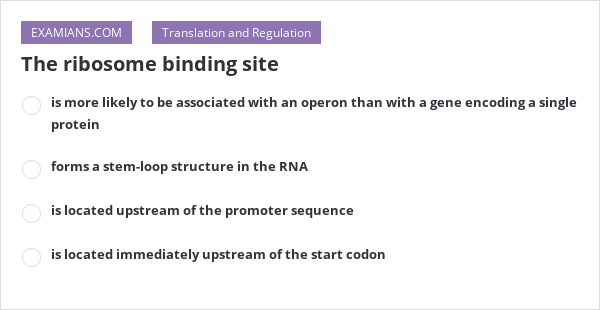 The ribosome binding site | EXAMIANS