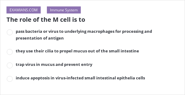 The role of the M cell is to | EXAMIANS