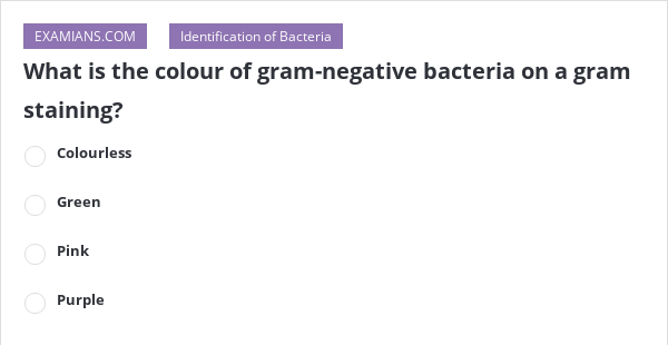 What is the colour of gram-negative bacteria on a gram staining? | EXAMIANS