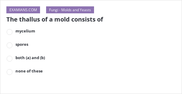 The thallus of a mold consists of | EXAMIANS