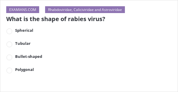 What is the shape of rabies virus? | EXAMIANS