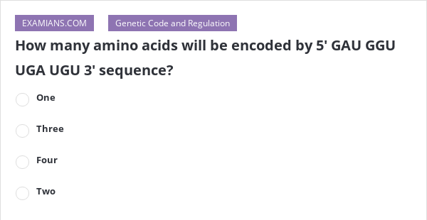 How many amino acids will be encoded by 5' GAU GGU UGA UGU 3' sequence ...