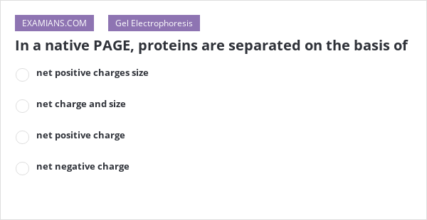 In a native PAGE, proteins are separated on the basis of | EXAMIANS