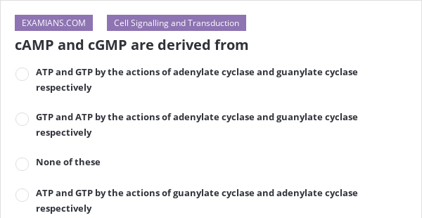 cAMP and cGMP are derived from | EXAMIANS