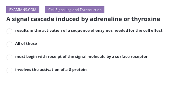 A signal cascade induced by adrenaline or thyroxine | EXAMIANS