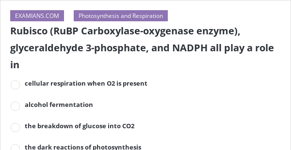 Rubisco (RuBP Carboxylase-oxygenase enzyme), glyceraldehyde 3-phosphate ...