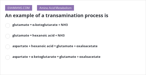 An example of a transamination process is | EXAMIANS