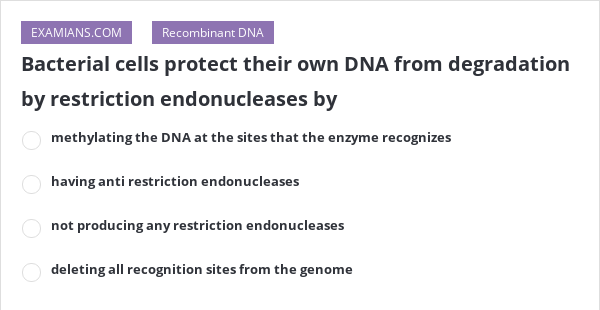 Bacterial cells protect their own DNA from degradation by restriction ...