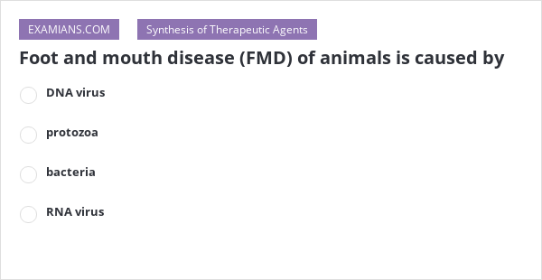 Foot and mouth disease (FMD) of animals is caused by | EXAMIANS