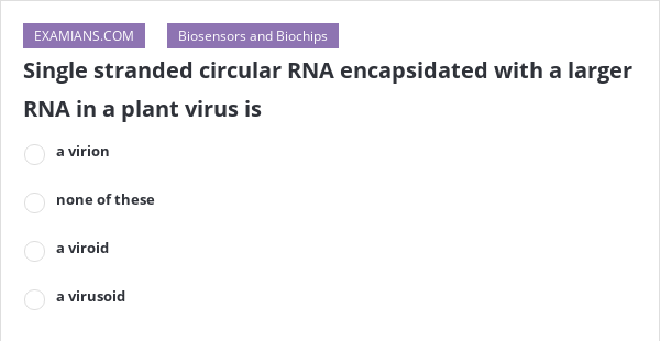 Single stranded circular RNA encapsidated with a larger RNA in a plant ...