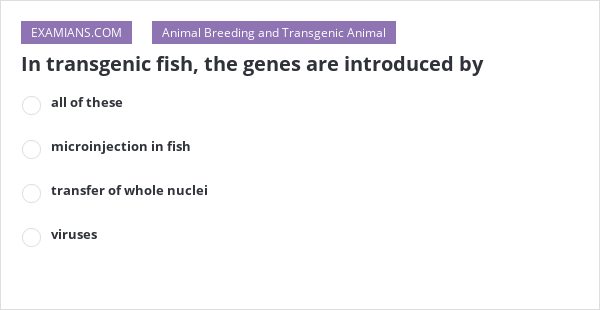 In transgenic fish, the genes are introduced by | EXAMIANS