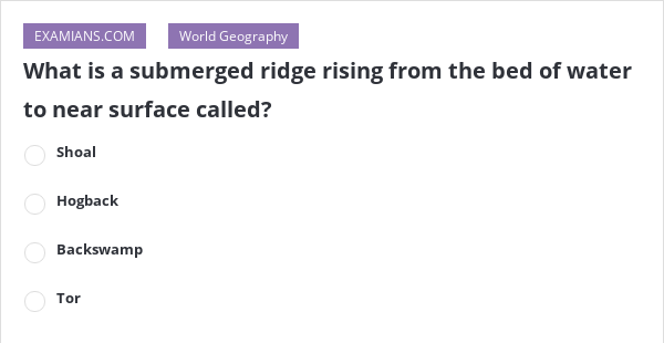 What is a submerged ridge rising from the bed of water to near surface ...